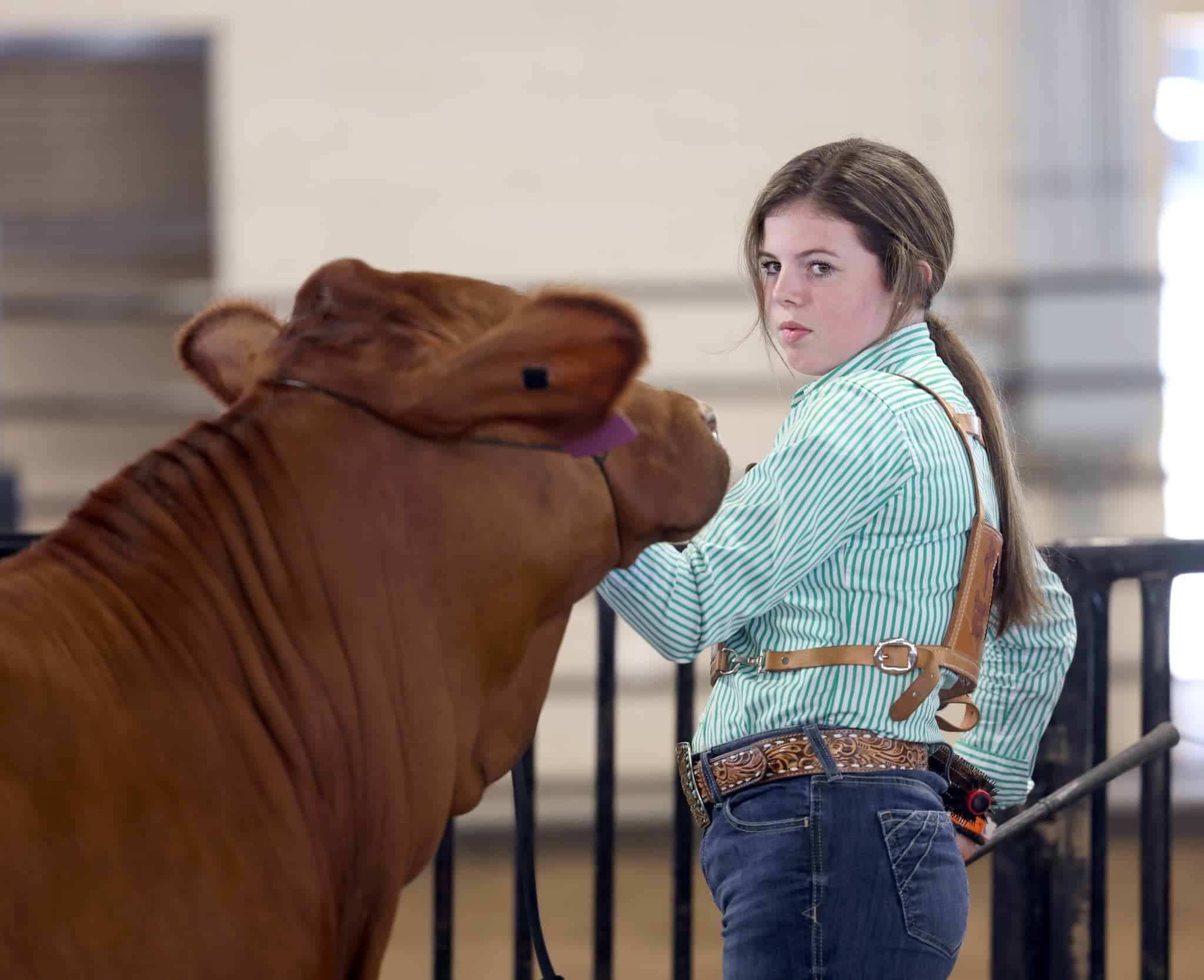 International Red Brangus Breeders Association - Advancing Quality Cattle Breeding